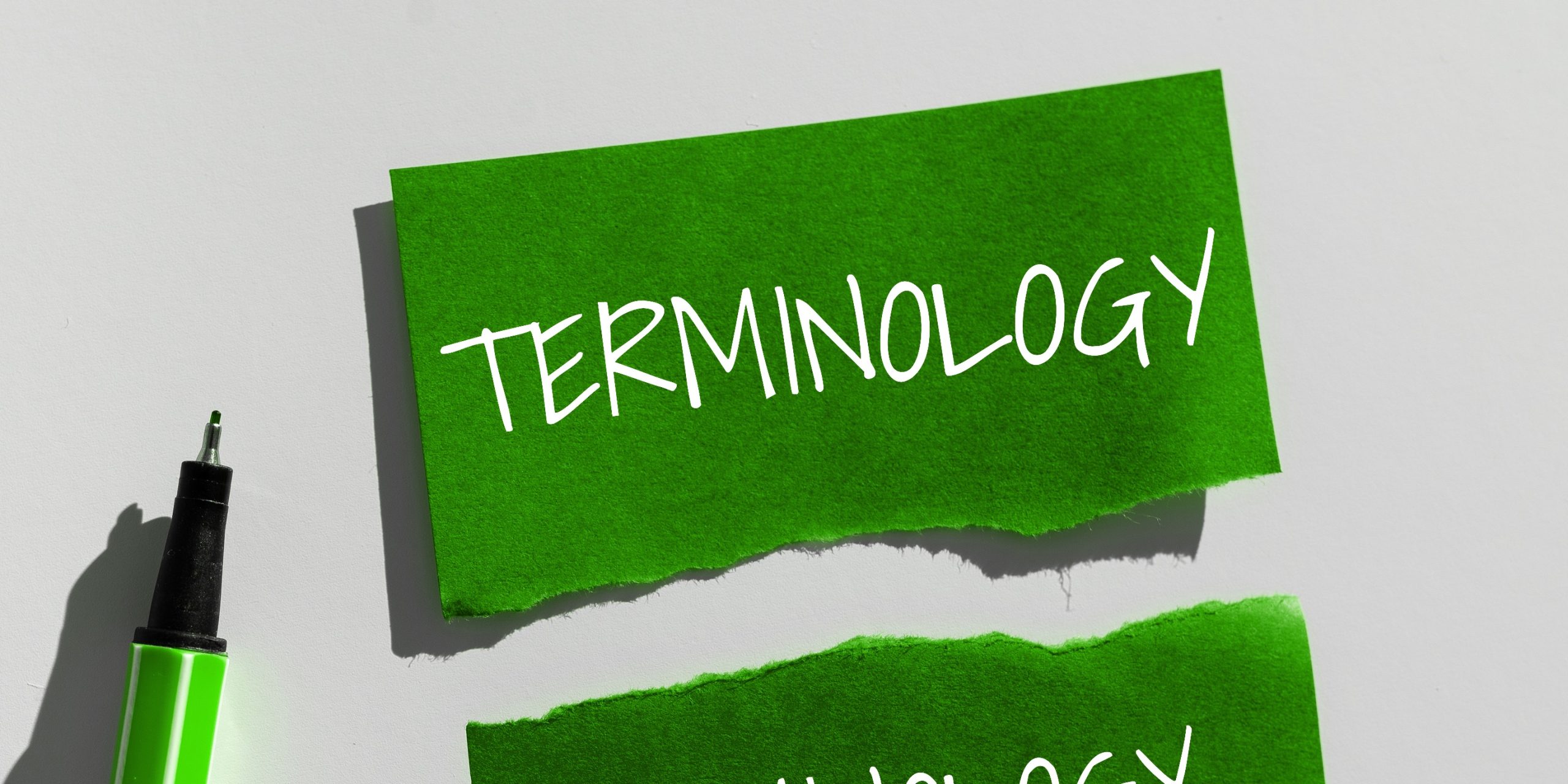 From A to Z: Mastering Dentistry Terminology in an Easy and Accessible ...